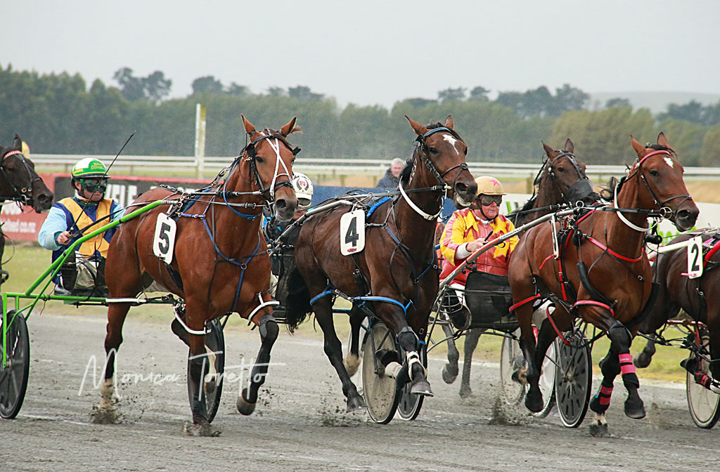 Horse Racing – Monica Toretto